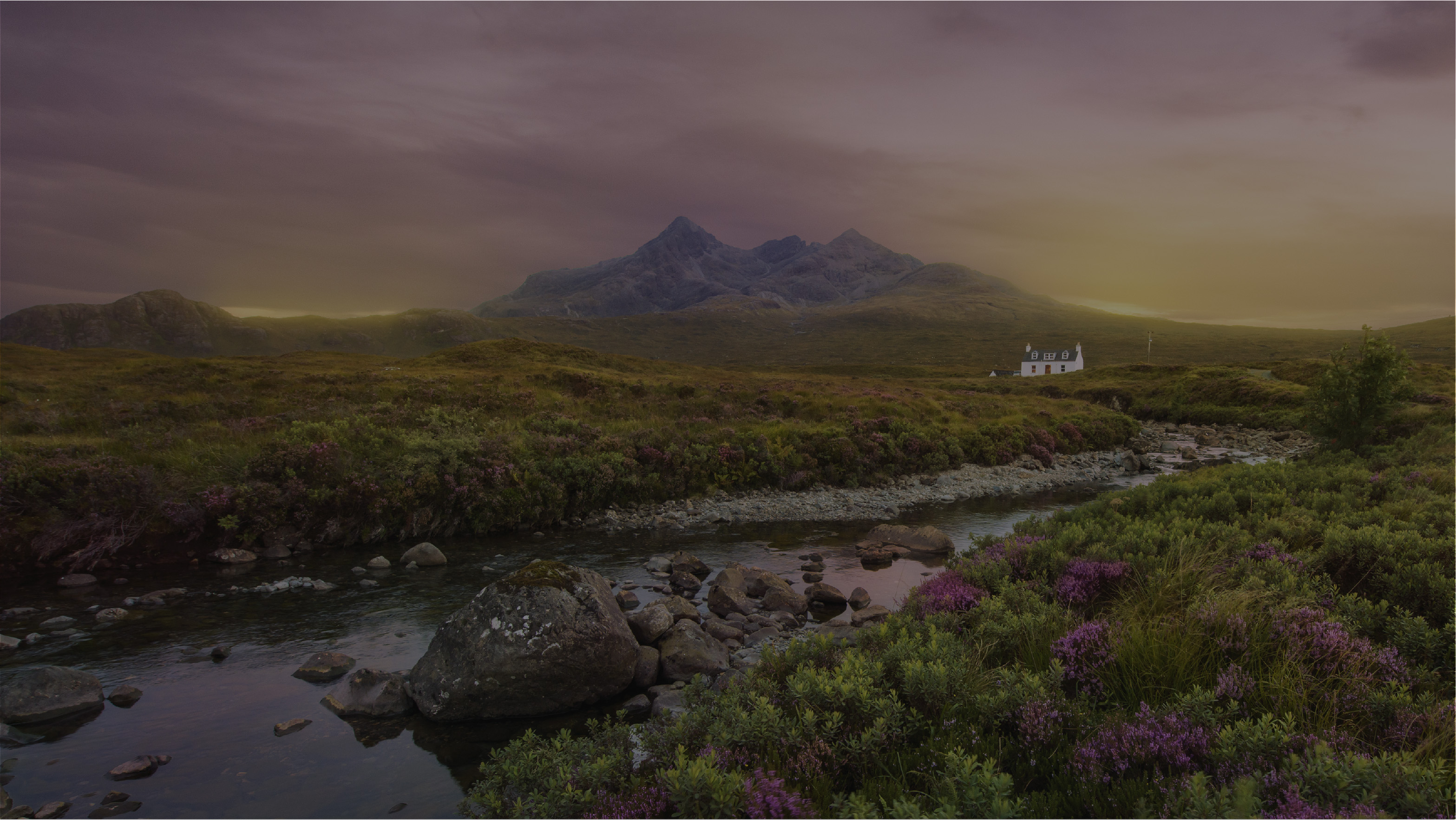 HugoFox - Connecting Communities